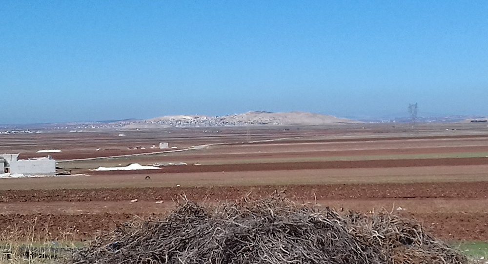 حقول ريف “حلب” تغص بالخضار الصيفية والقطن ينتظر عودة المياه | سناك سوري